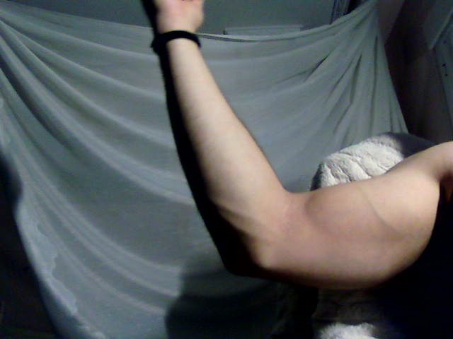 Human Arms Object Detection Dataset and Pre-Trained Model by Drans Workplace