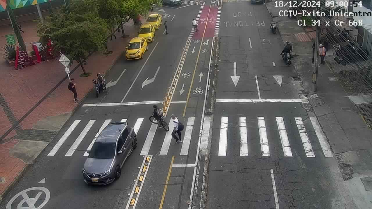 2025 Object Detection Dataset By Vehicle On Pedestrian Crossings Image