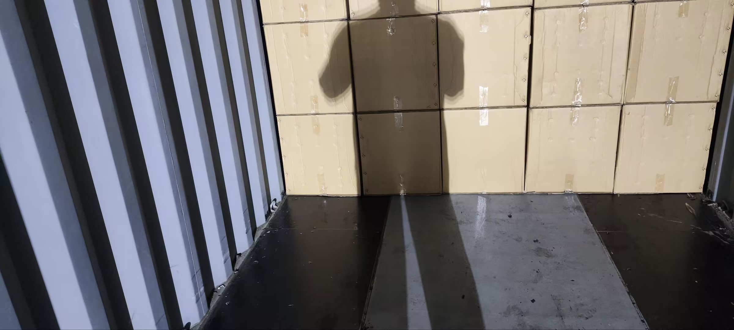 2025.2.25 Instance Segmentation Dataset by aaaa