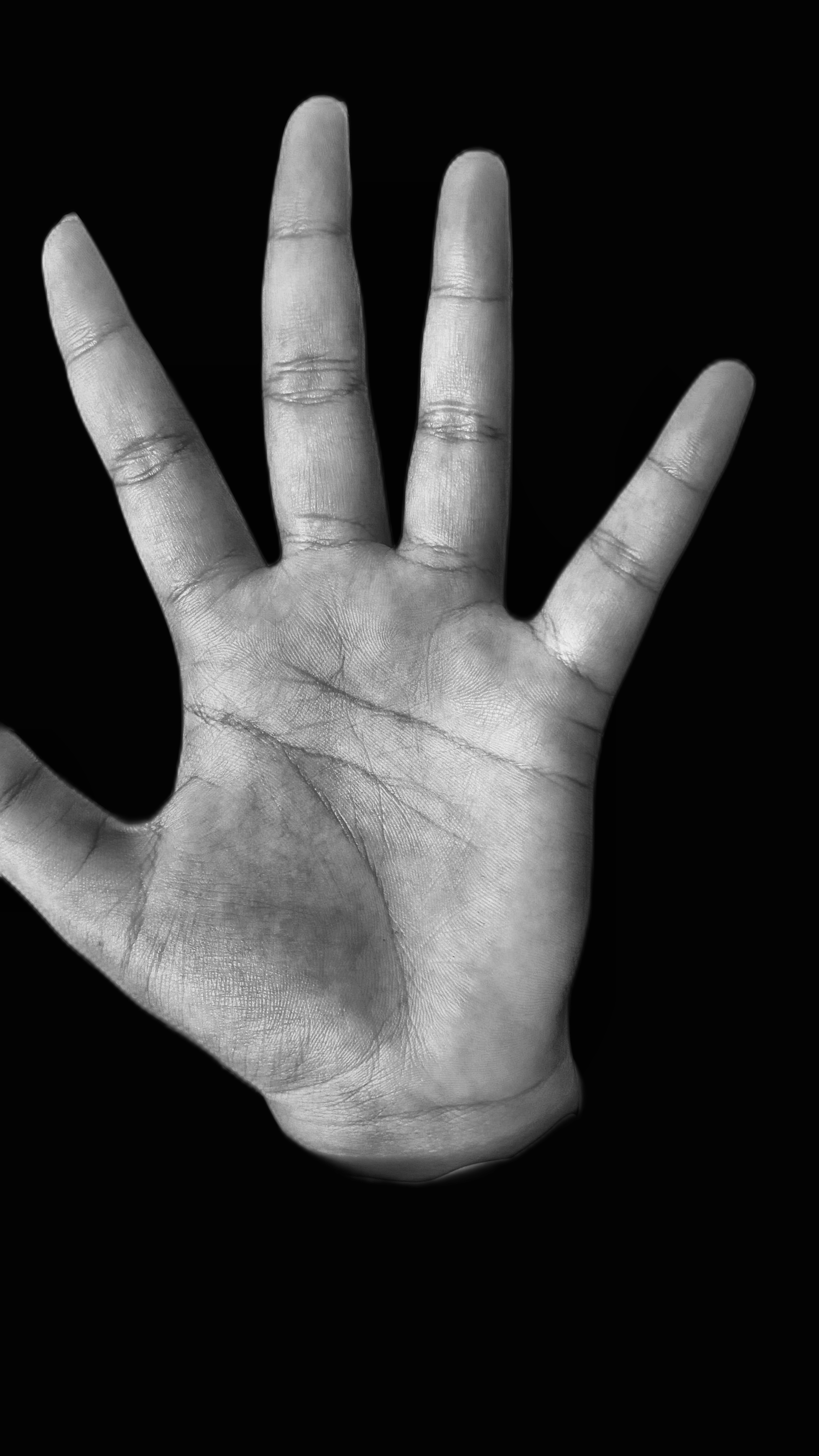 Persona Palmprint Keypoint Detection Dataset by PersonaApps