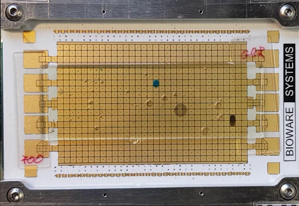 Biochip Object Detection Dataset and Pre-Trained Model by YoloChanges