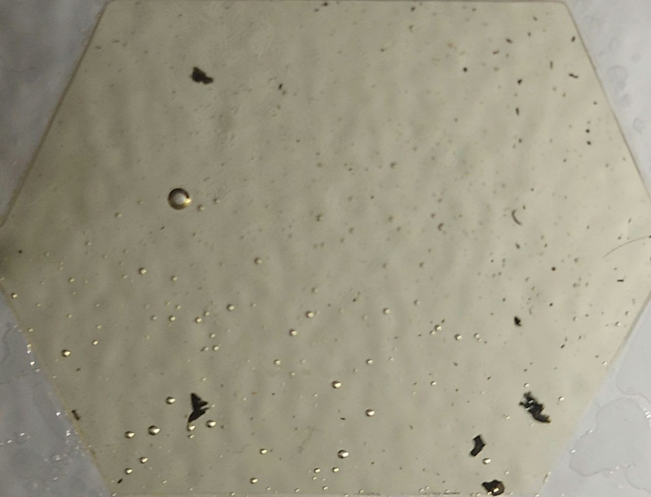 oil particles Object Detection Model by Shan Rathsarana