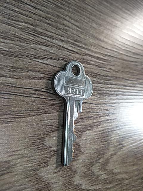 key Instance Segmentation Dataset by key