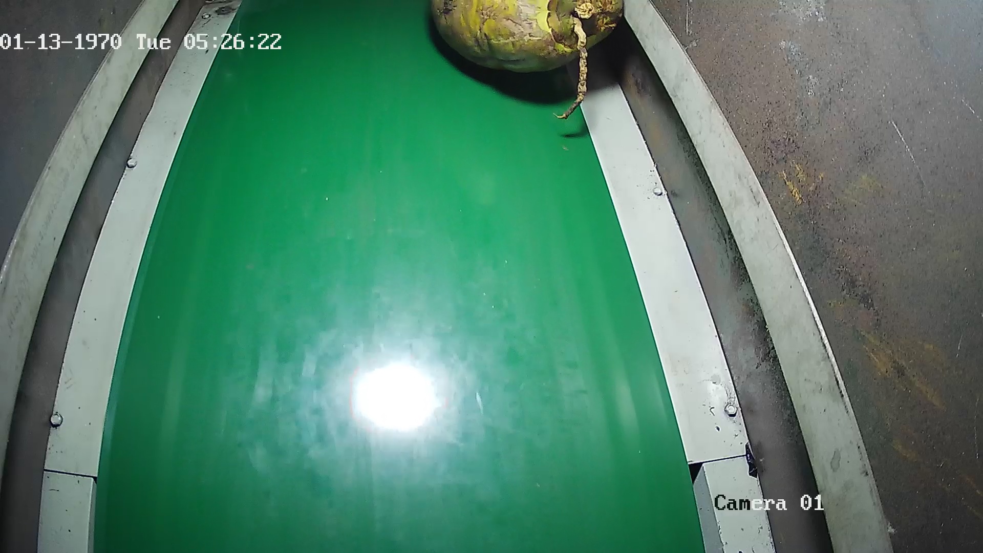 Coconut Project V2 Object Detection Model By Psm