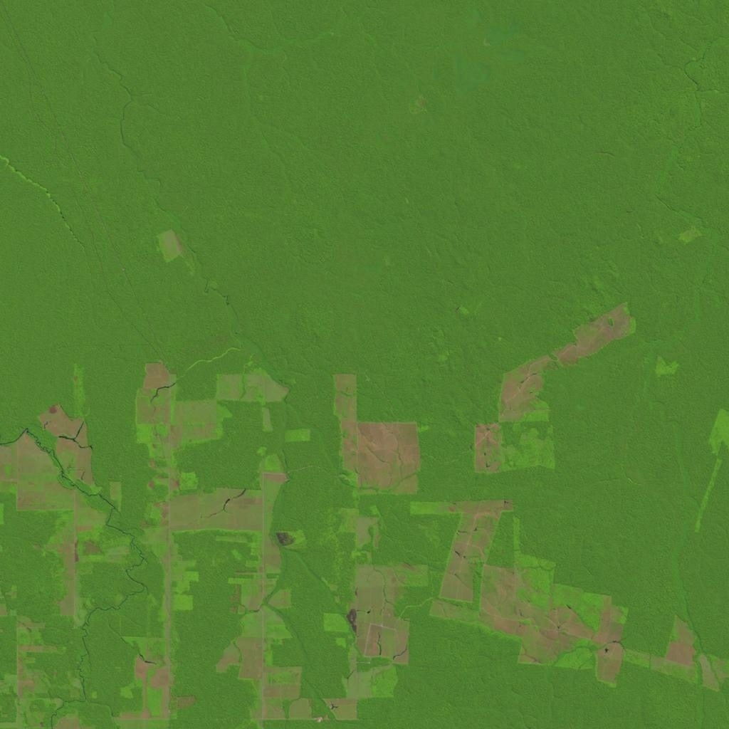 Deforestation-3 Instance Segmentation Dataset by Deforestation