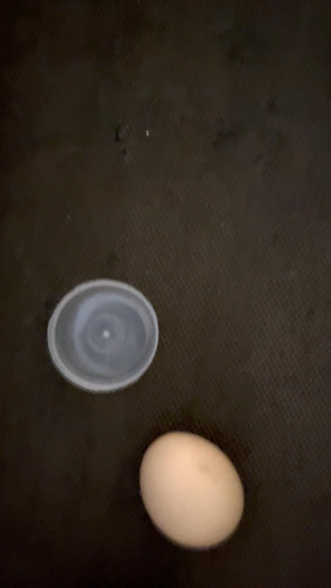 Egg Dataset Combined Object Detection Dataset By Jagadeesh97