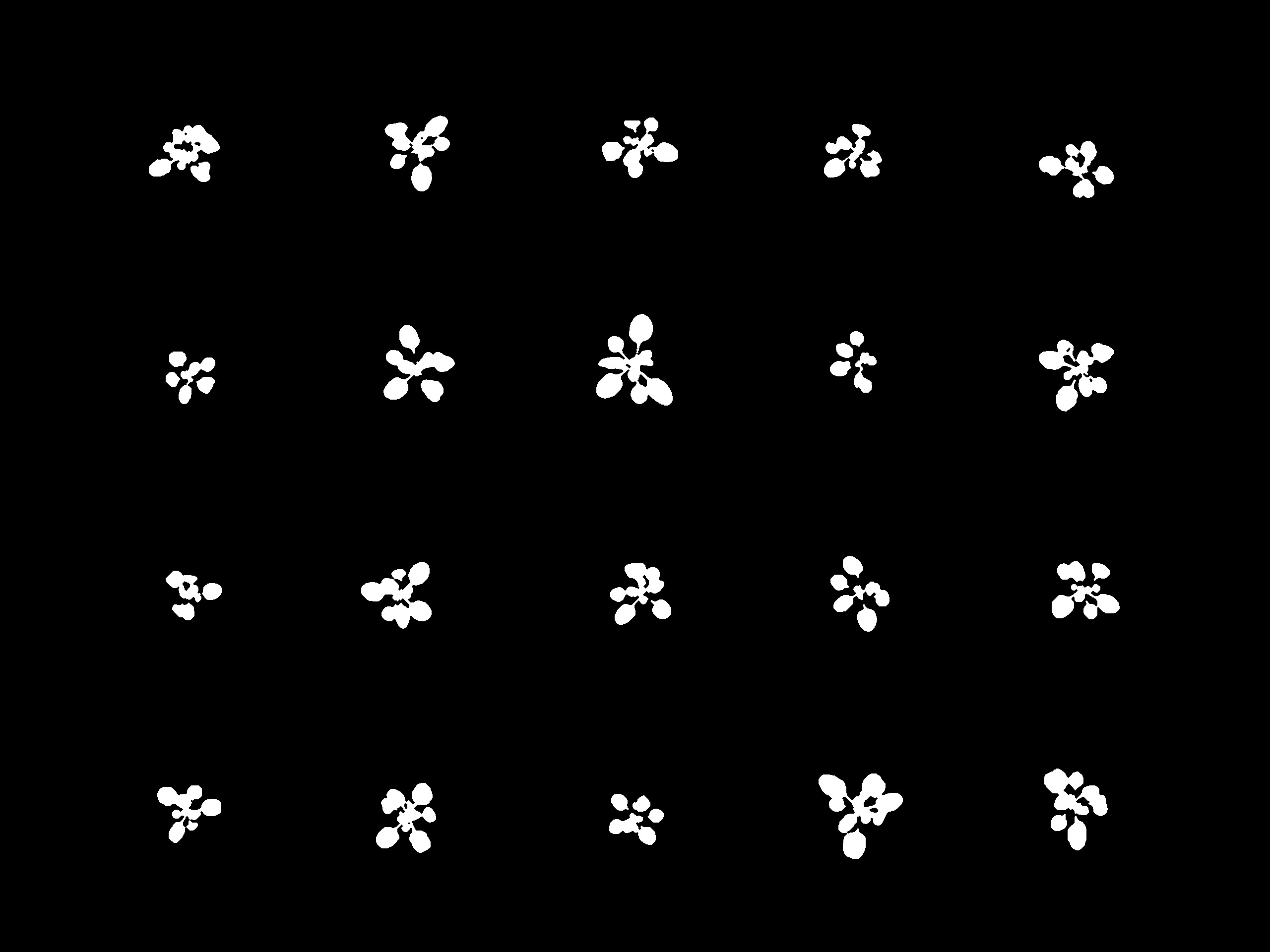 1 Computer Vision Dataset By Segmentation 