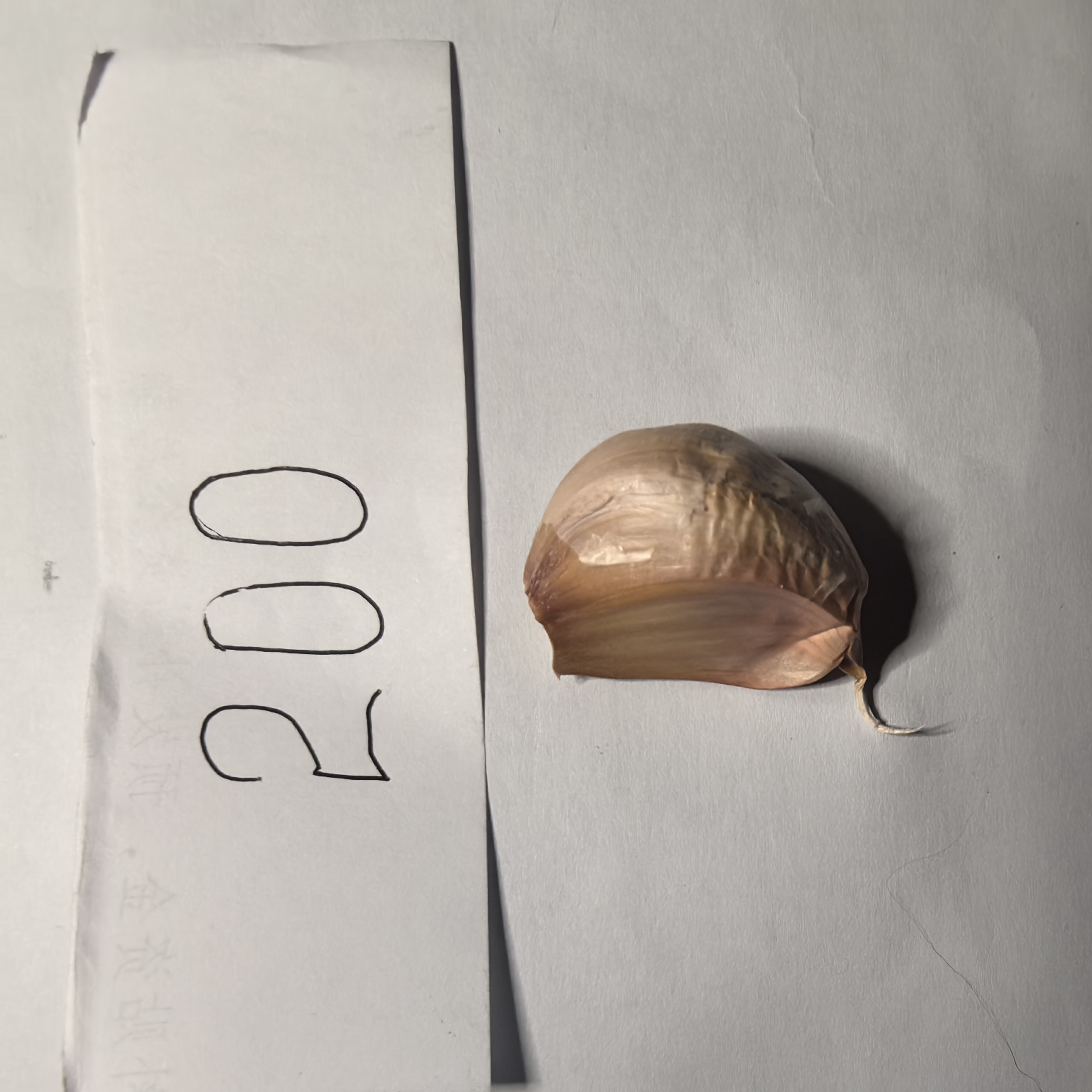 z233 - Roboflow Universe