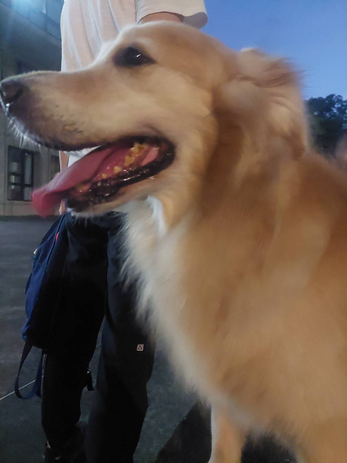 hw2 ai Object Detection Dataset and Pre-Trained Model by my ai cnn workplace