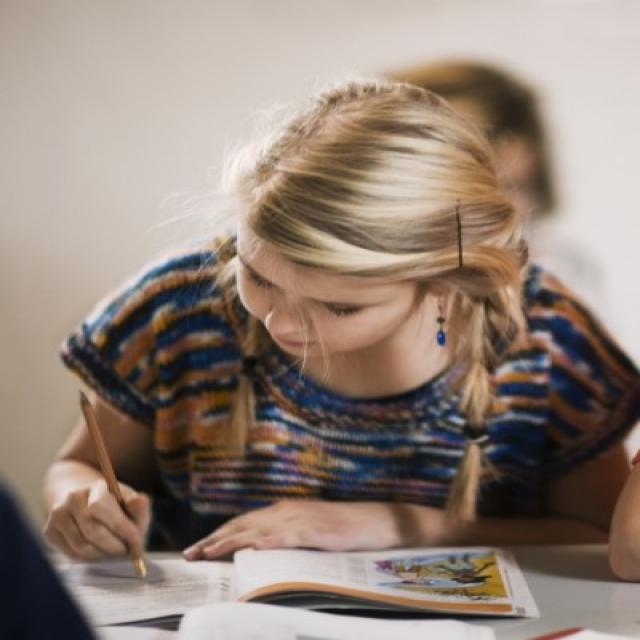 Cheating Detection Object Detection Dataset And Pre Trained Model By 3322