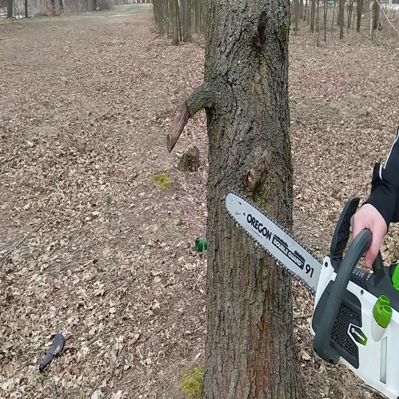 Chainsaw detection Object Detection Model by WMA13