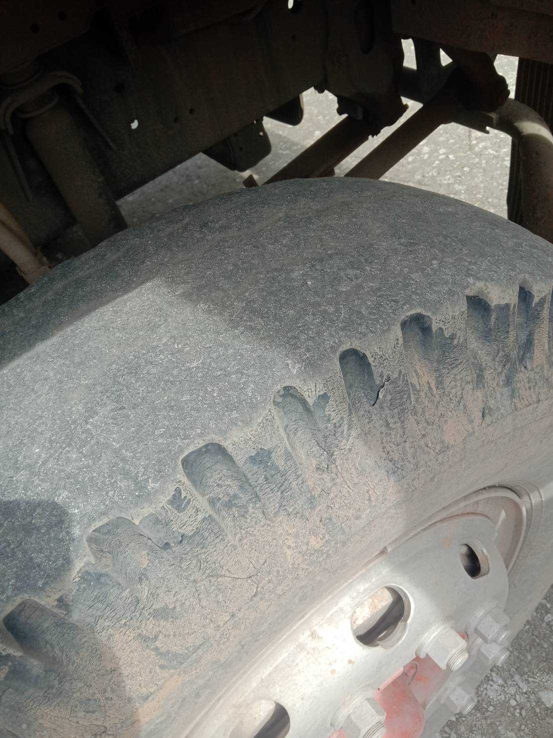 data label Instance Segmentation Dataset and Pre-Trained Model by 1