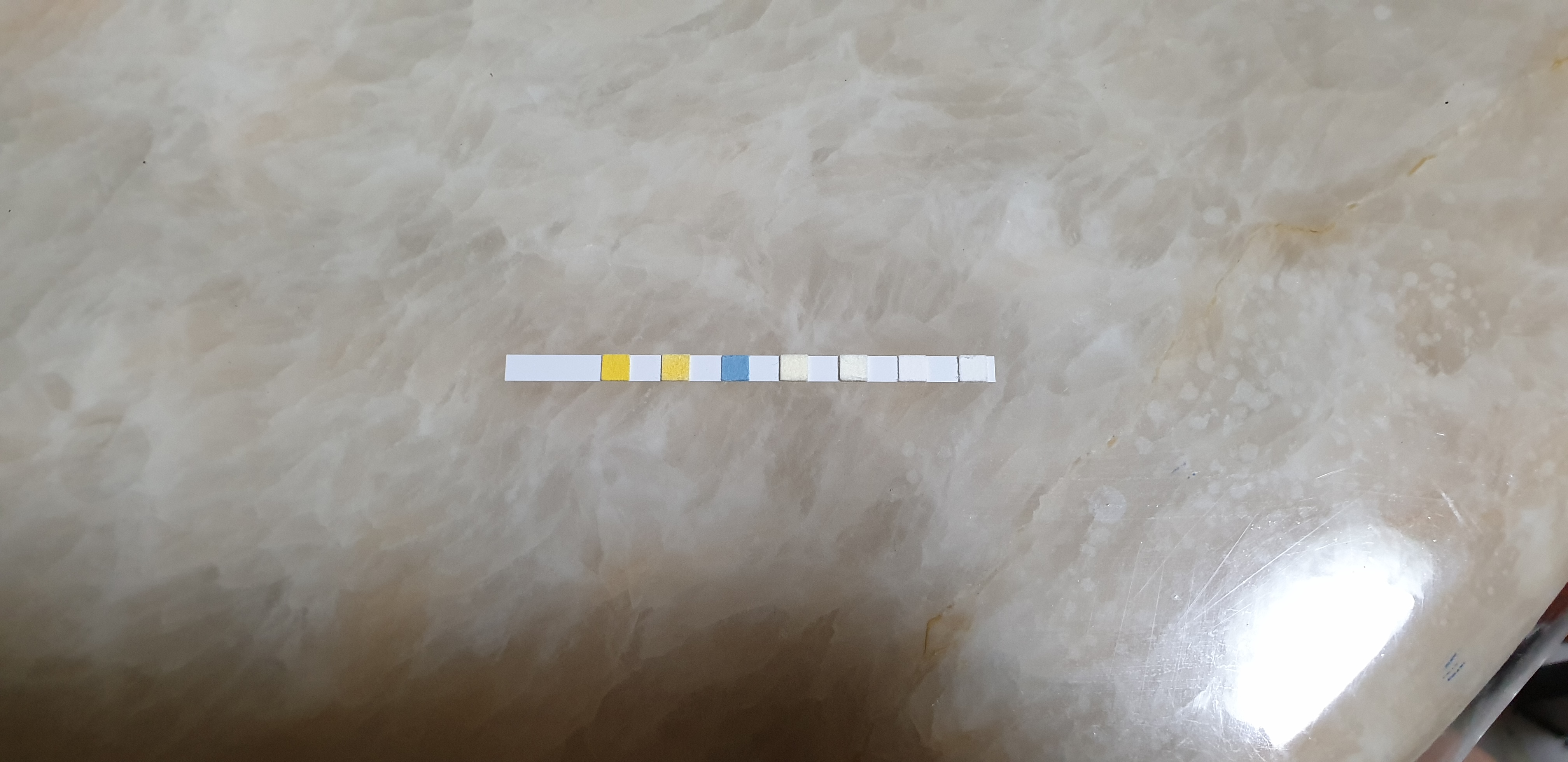 Test Strip Object Detection Model by Test Strip