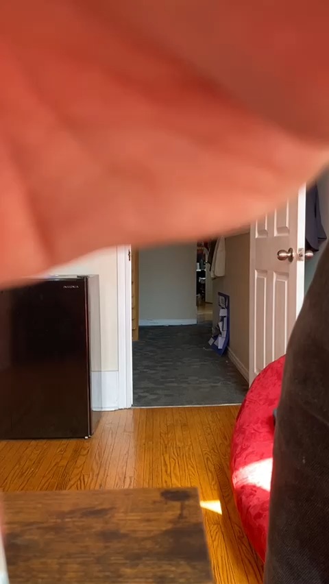 Exercise Frame Labelling Classification Dataset by Excercise annotation