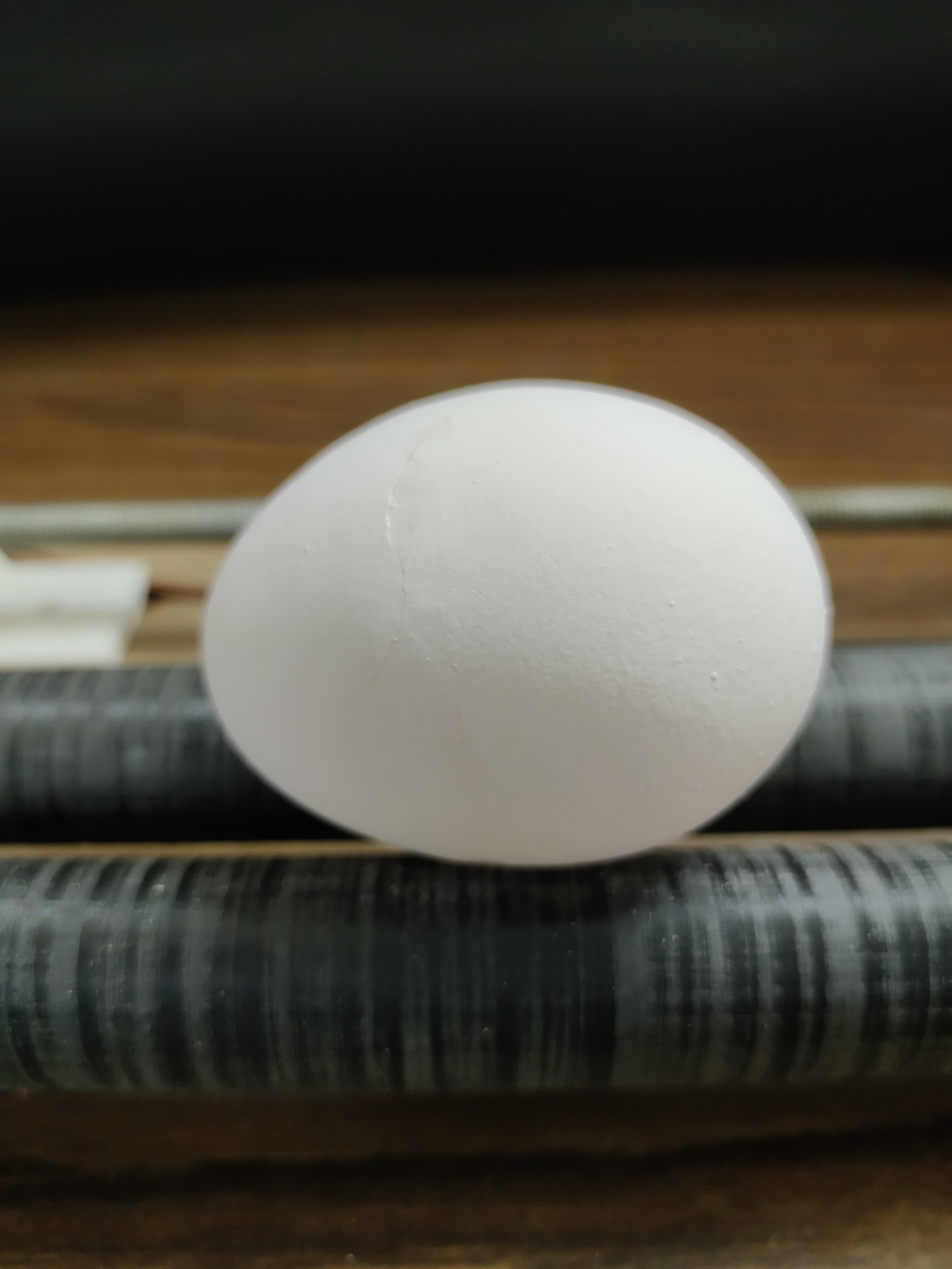 Egg Object Detection Model by Computer Science