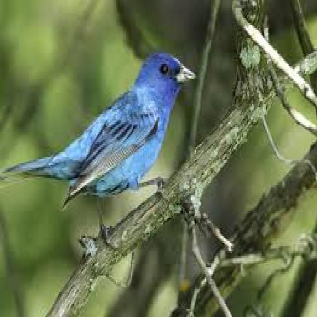 ayres faculdade - Roboflow Universe