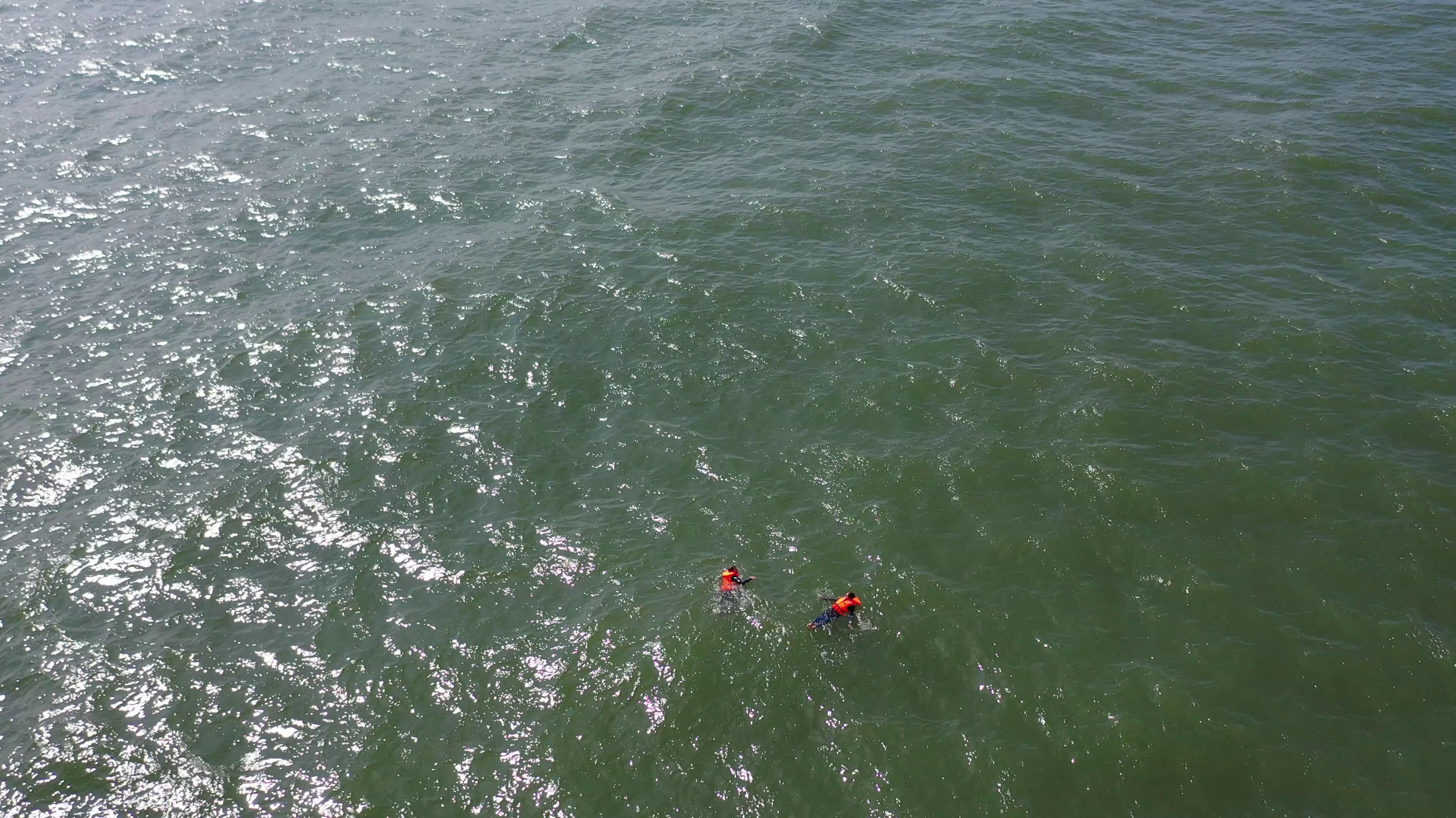 swim drone Object Detection Dataset by no