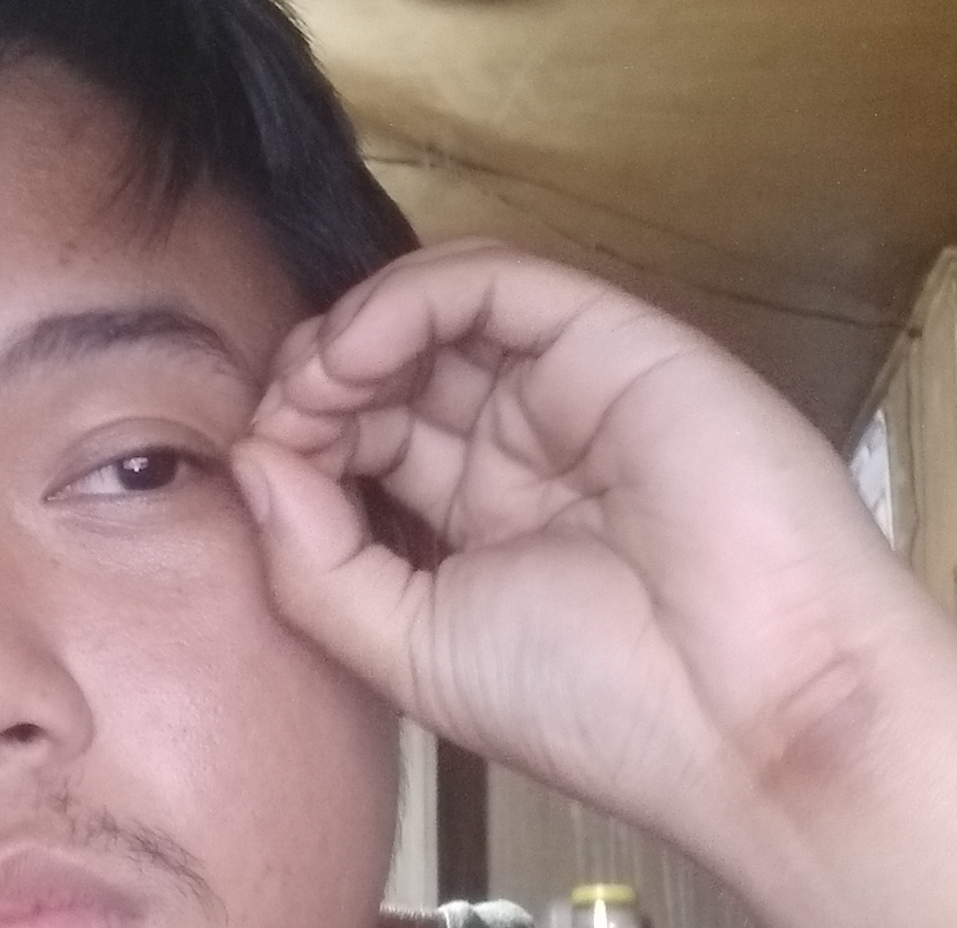 Filipino Sign Language Dataset Object Detection Dataset By Ag
