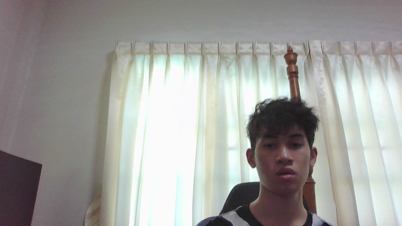 Final Project Object Detection Model by Task02