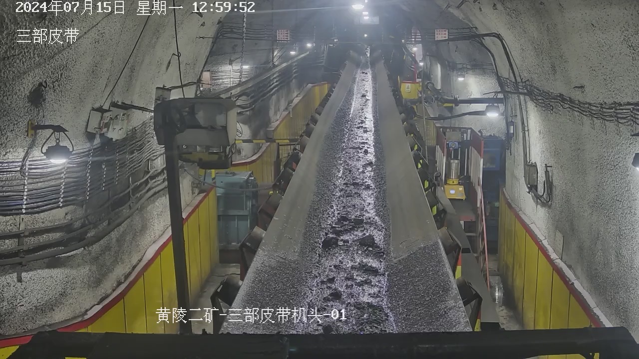 whereis coal Instance Segmentation Model by lazy