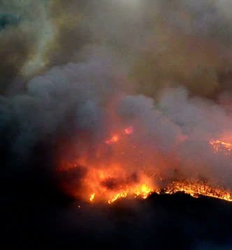 Fire Detection Object Detection Model by Fire