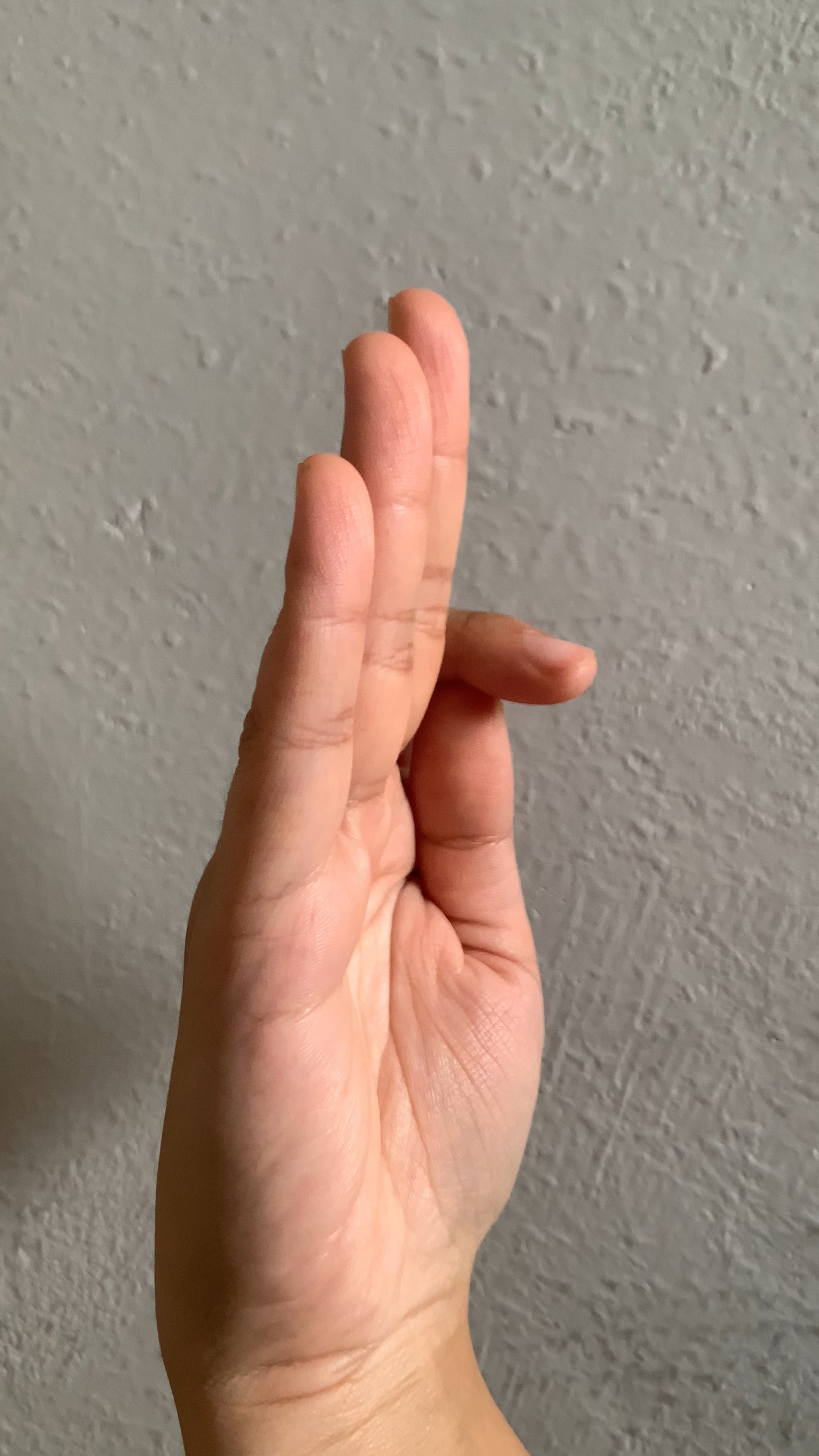 MSL Object Detection Dataset and Pre-Trained Model by FYP