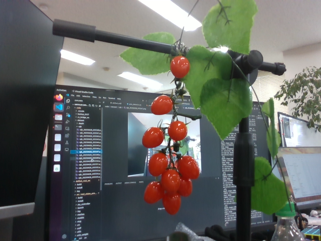 realsense_tomato Object Detection Model by zrq