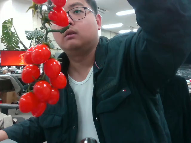realsense_rgb_tomato Object Detection Dataset by zrq