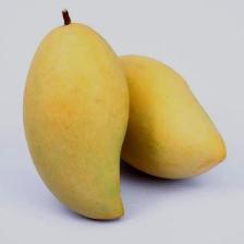 Mango Classification Dataset by Test Fruits