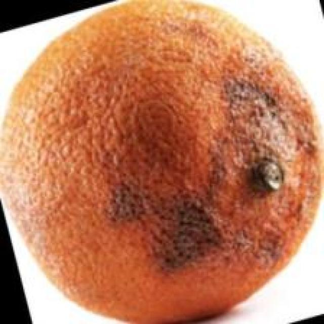 Orange Classification Dataset by Test Fruits