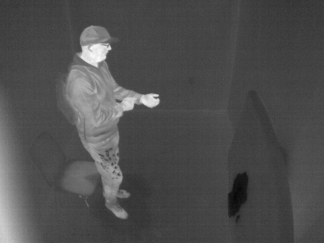 Bl Detection Object Detection Dataset By Uospec