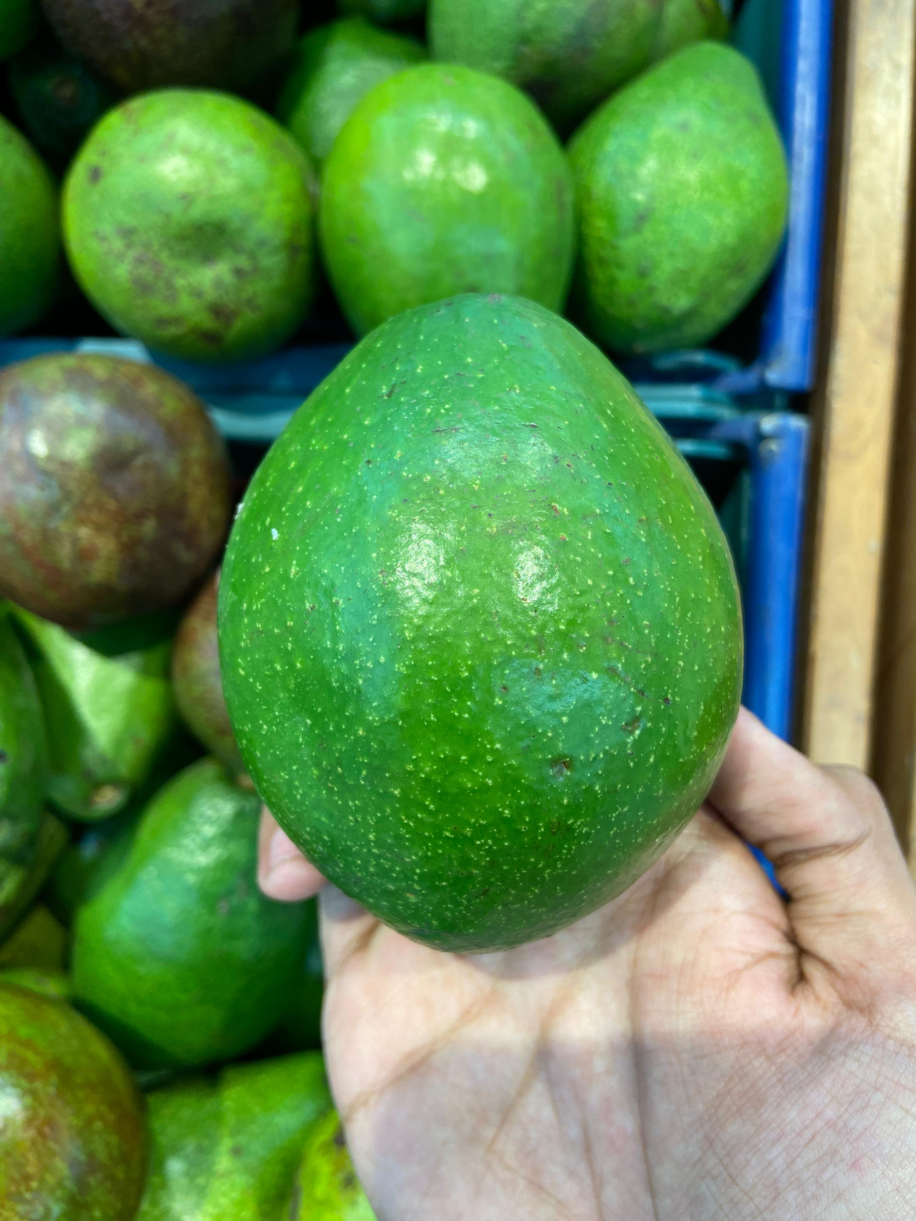 Avocado Defect Detection Object Detection Dataset And Pre Trained Model