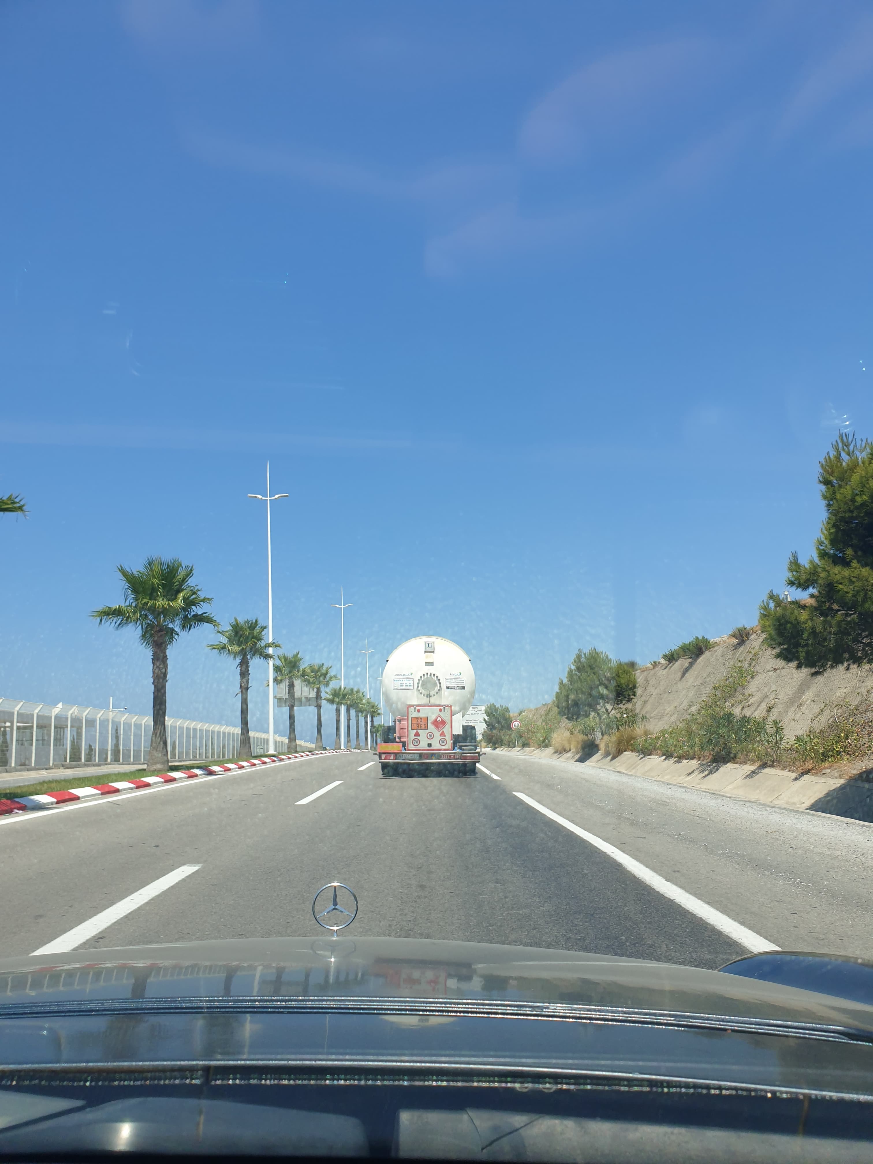 vehicle Instance Segmentation Dataset and Pre-Trained Model by vehi