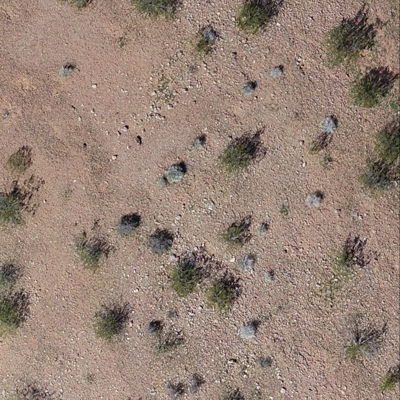 Gb Merge Object Detection Dataset By Southern Utah University