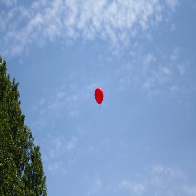 BalloonSegmentation Instance Segmentation Dataset by RoboflowProjects