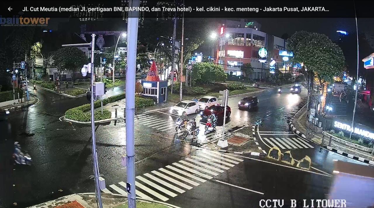 Zebra Cross Dataset Object Detection Dataset By Telkom University