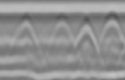 labeling Object Detection Dataset by qoqudrb311@naver.com