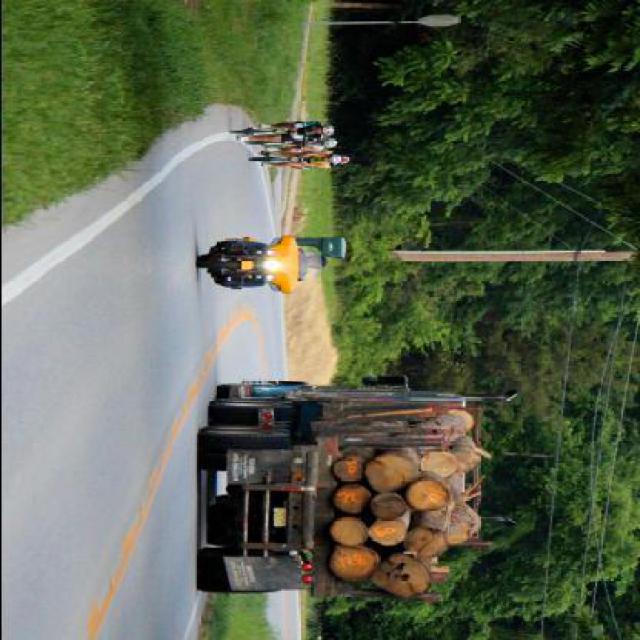 ttttt - Roboflow Universe