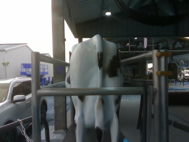 Ag_Show Object Detection Dataset by Cow