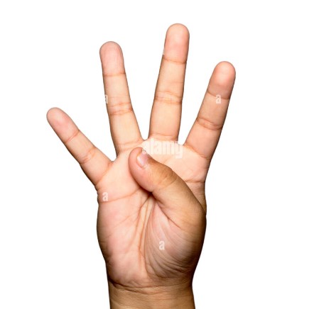 Hand Finger Classification Dataset by object detection