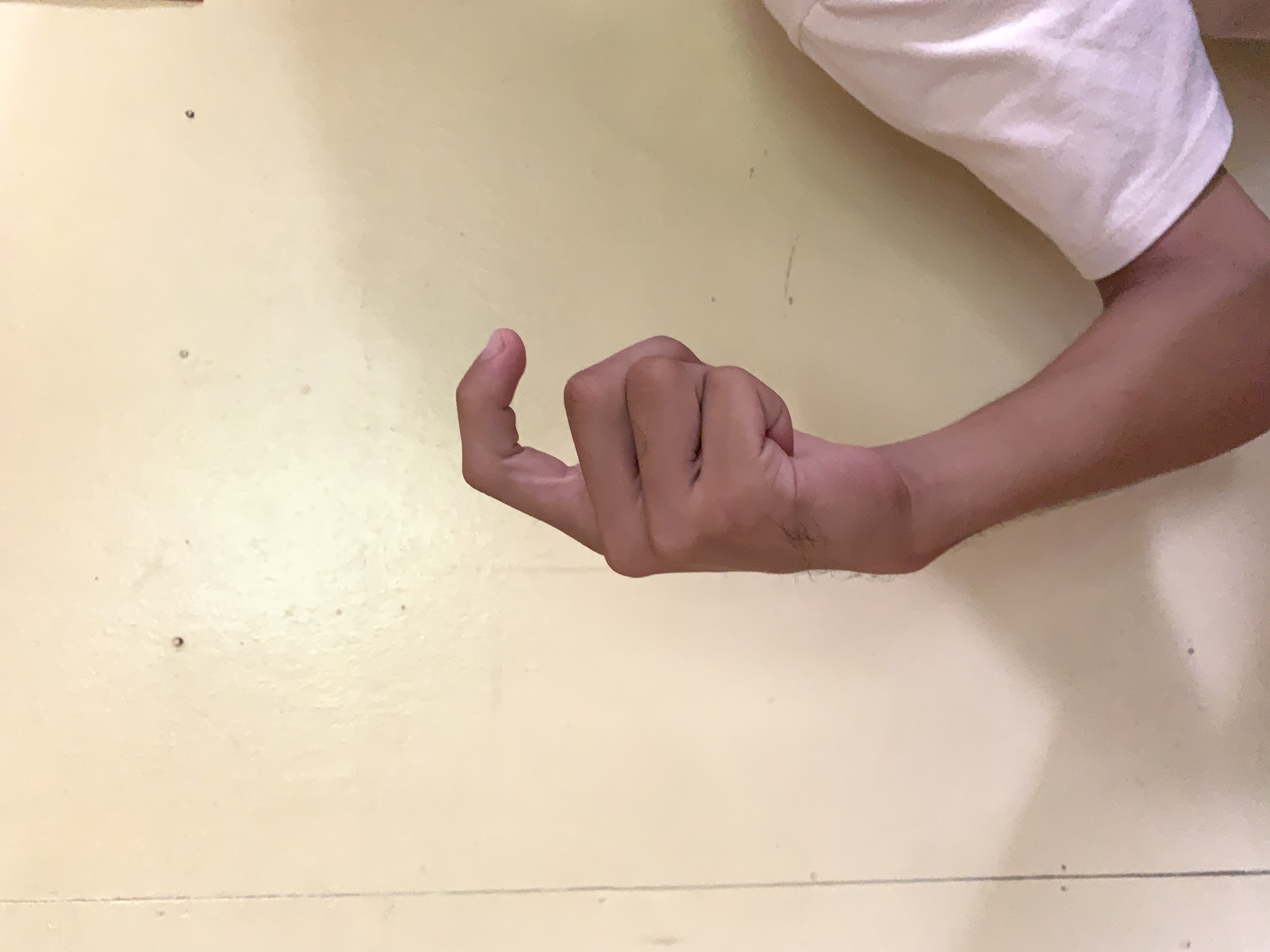 jackieee - Roboflow Universe