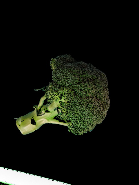 broccoli Object Detection Dataset and Pre-Trained Model by Workspace