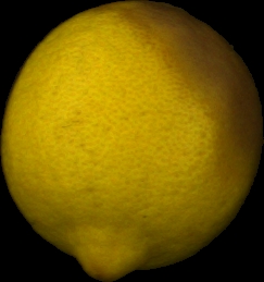 lemon Object Detection Model (v1, Roboflow Instant 1 [Eval]) by apple