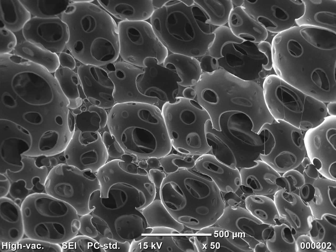 YOLO_SEM_Contain_Membrane Object Detection Dataset and Pre-Trained Model by Seoul National ...