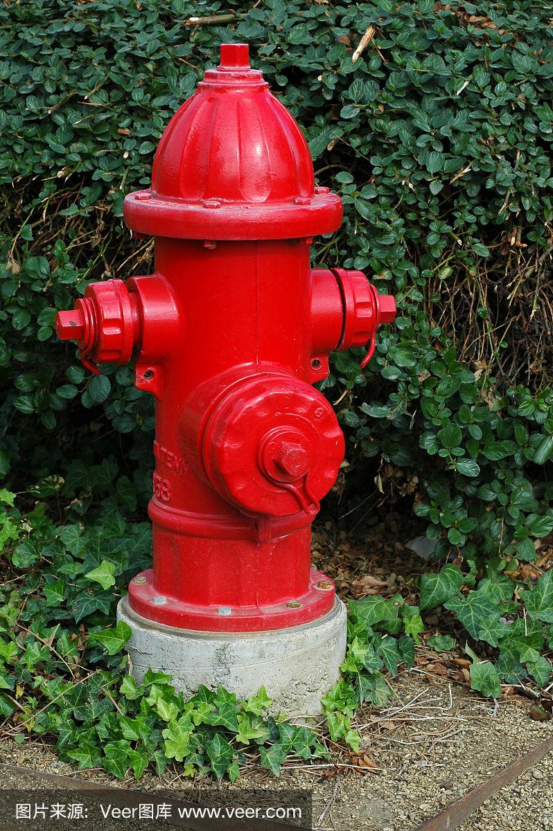 blind_tracks Instance Segmentation Dataset and Pre-Trained Model by lzwworkspace