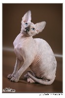 ir annotations - Roboflow Universe