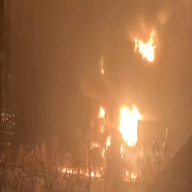 Ai Model Image Classification Object Detection Dataset And Pre Trained Model By Suvarnasuma