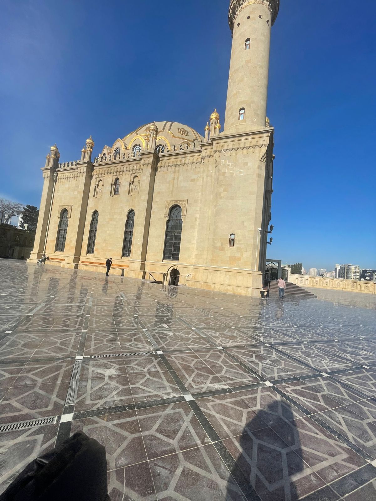 Alyona - Roboflow Universe