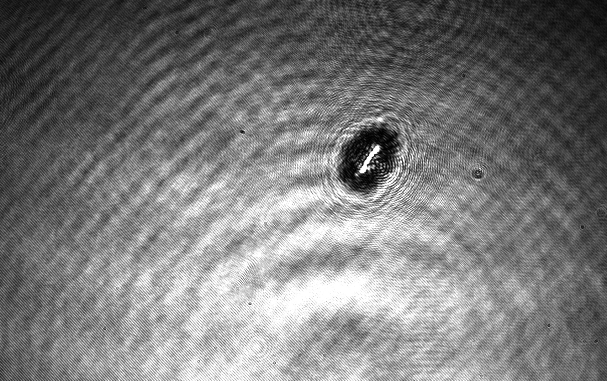 Pollen Object Detection Dataset and Pre-Trained Model by Pollen ...