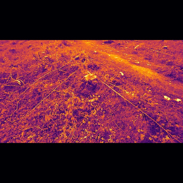 Thermal Camera Rock Detection Object Detection Dataset By First Forest